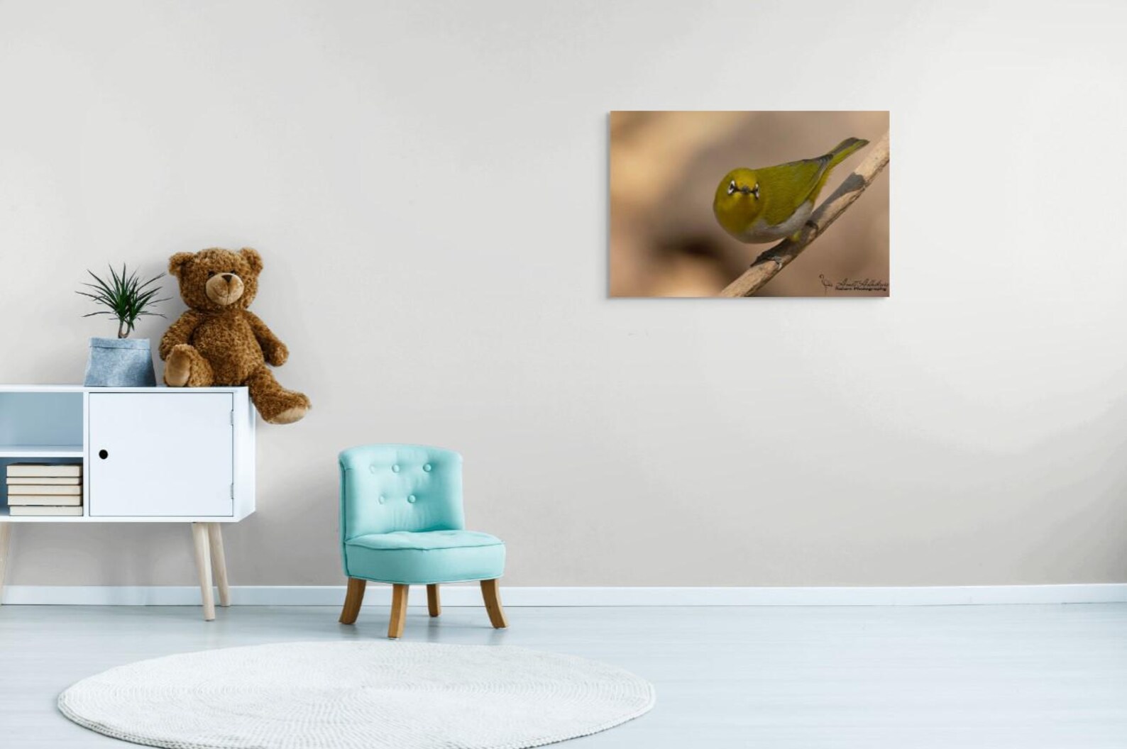 White Eye Photo Print, Bird Photography, Wall Art - Etsy