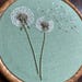 Dandelion Duo || Embroidery PDF Pattern Download || 5 Inch Embroidery ...