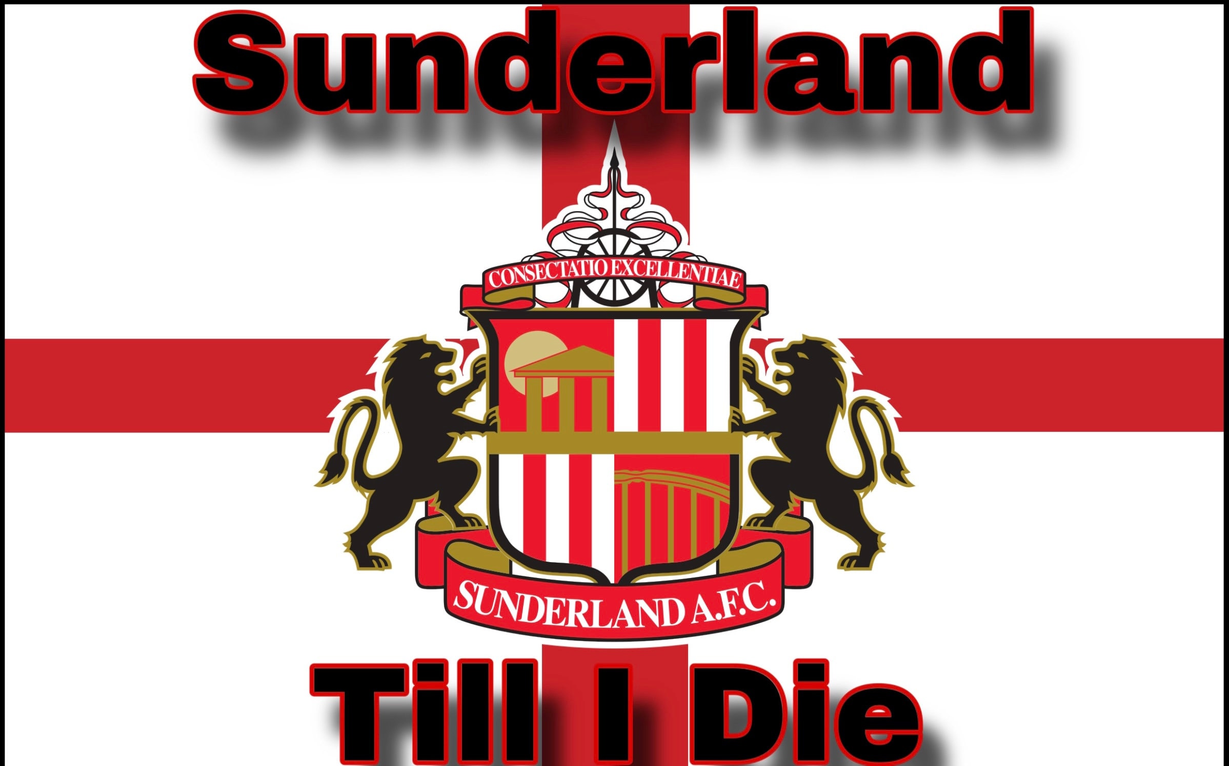 Sunderland Football Flag. 5FT X 3FT. Free Delivery. Sunderland Till I ...