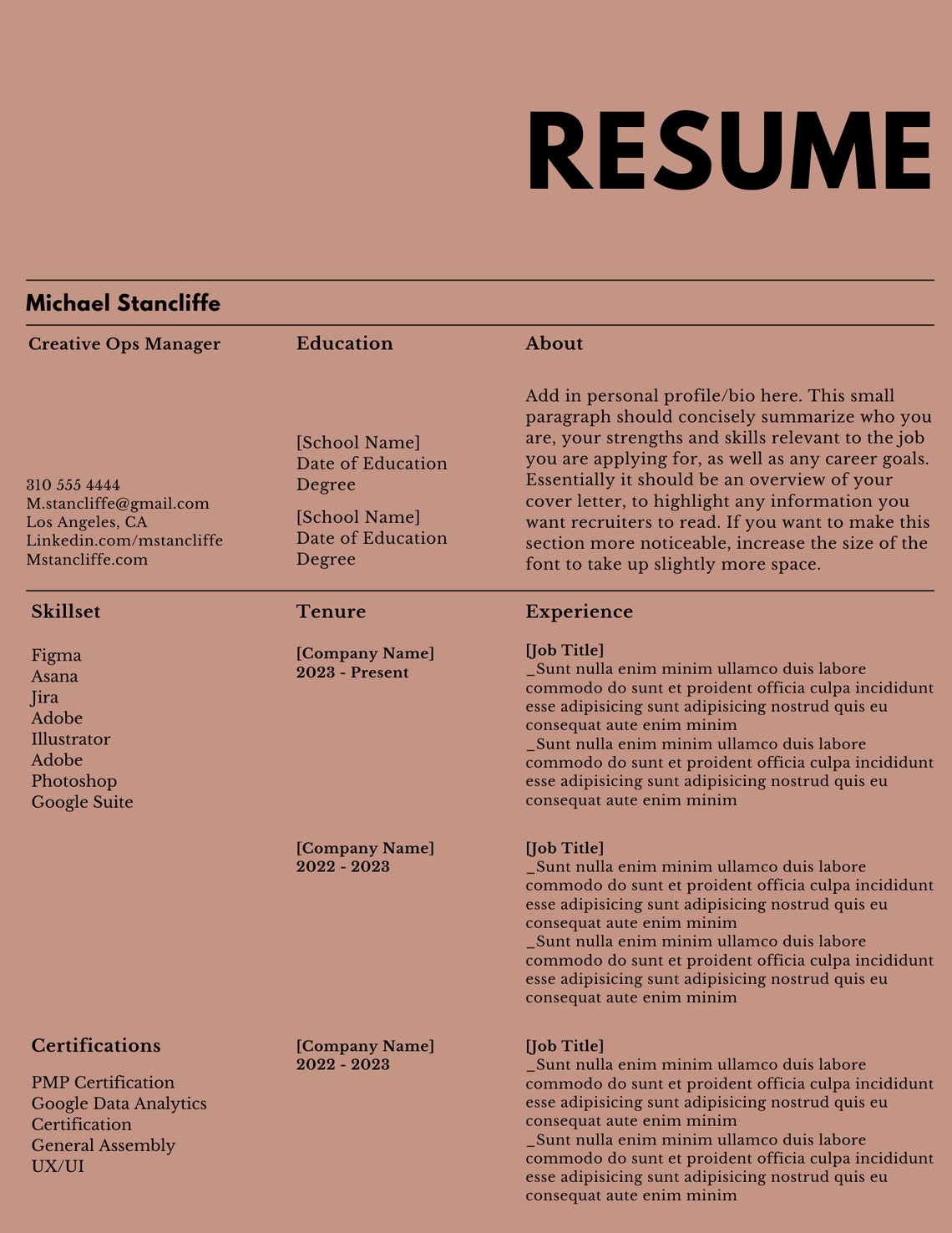 Minimalist Resume Template: Creative Canva Design (digital Download) - Etsy