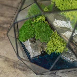 Polyhedral Spherical Terrarium With Moss Landscape - a Miniature World ...