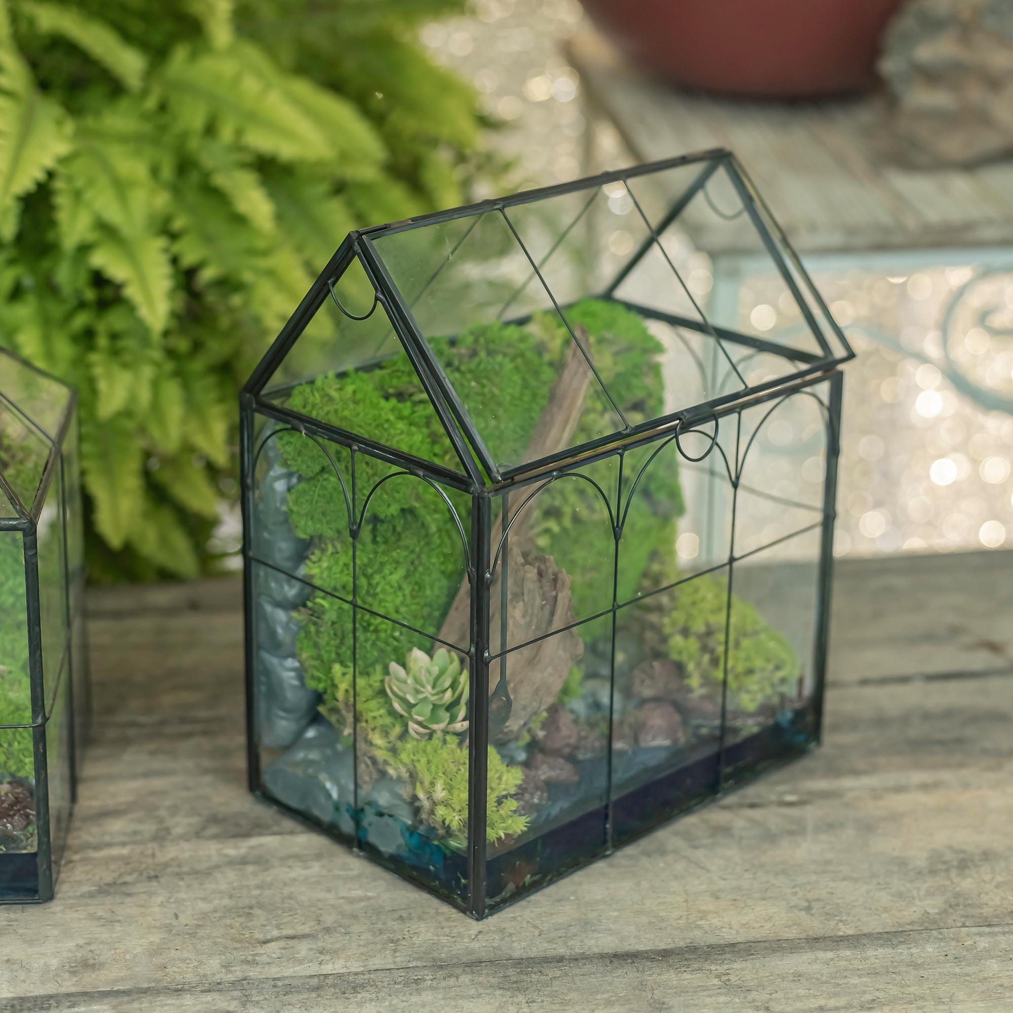 Handmade Greenhouse Glass Terrarium With Preserved Moss, Wood, Faux ...