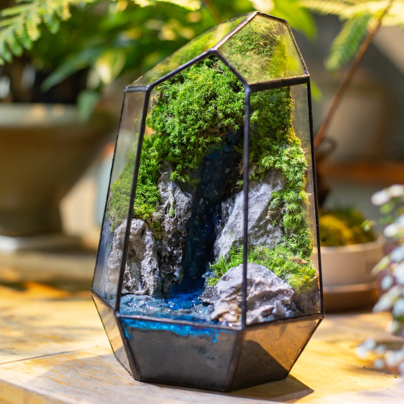 Zen Garden Home Preserved Plants, Mountain Terrarium With Preserved ...