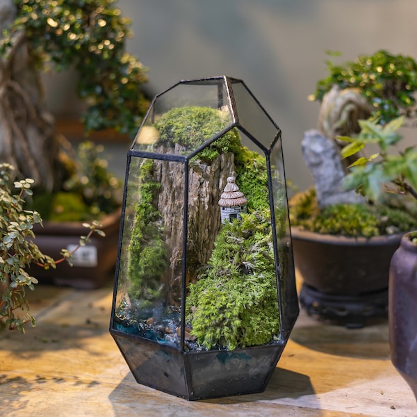Unique Terrarium - Etsy