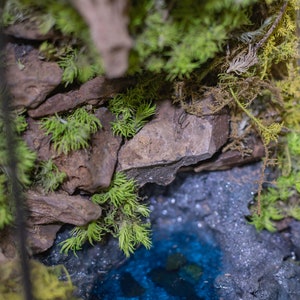 Zen Garden Miniature Ecosystem With Preserved Moss, Mountain Springs ...