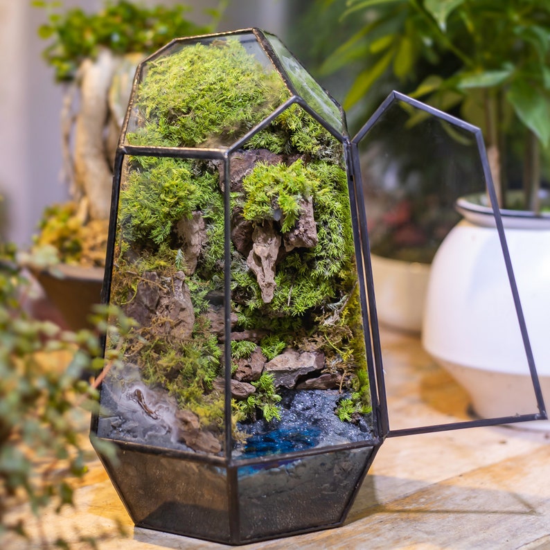 Zen Garden Miniature Ecosystem With Preserved Moss, Mountain Springs ...