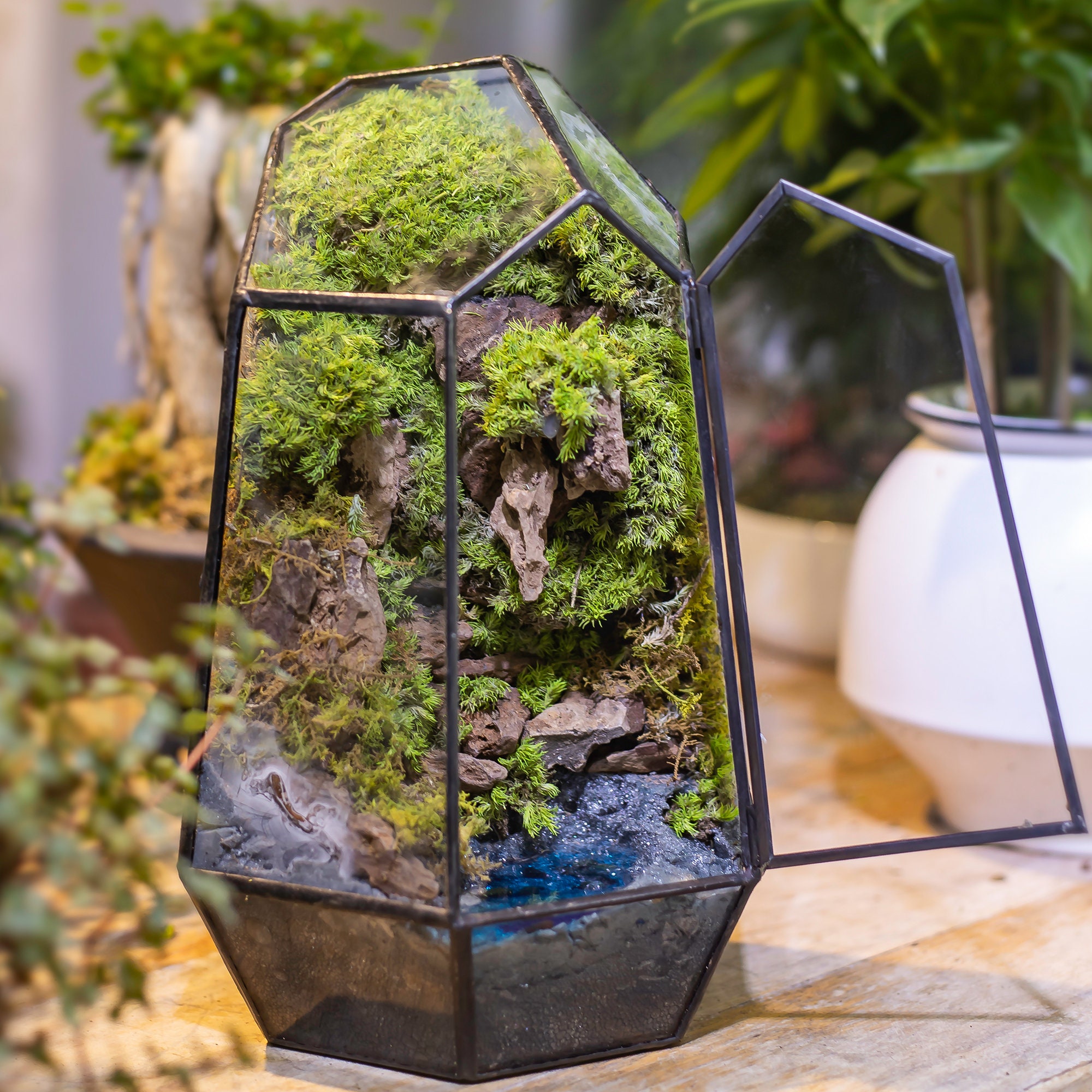 Zen Garden Miniature Ecosystem With Preserved Moss, Mountain Springs ...