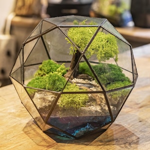 Polyhedral Spherical Terrarium With Moss Landscape - a Miniature World ...