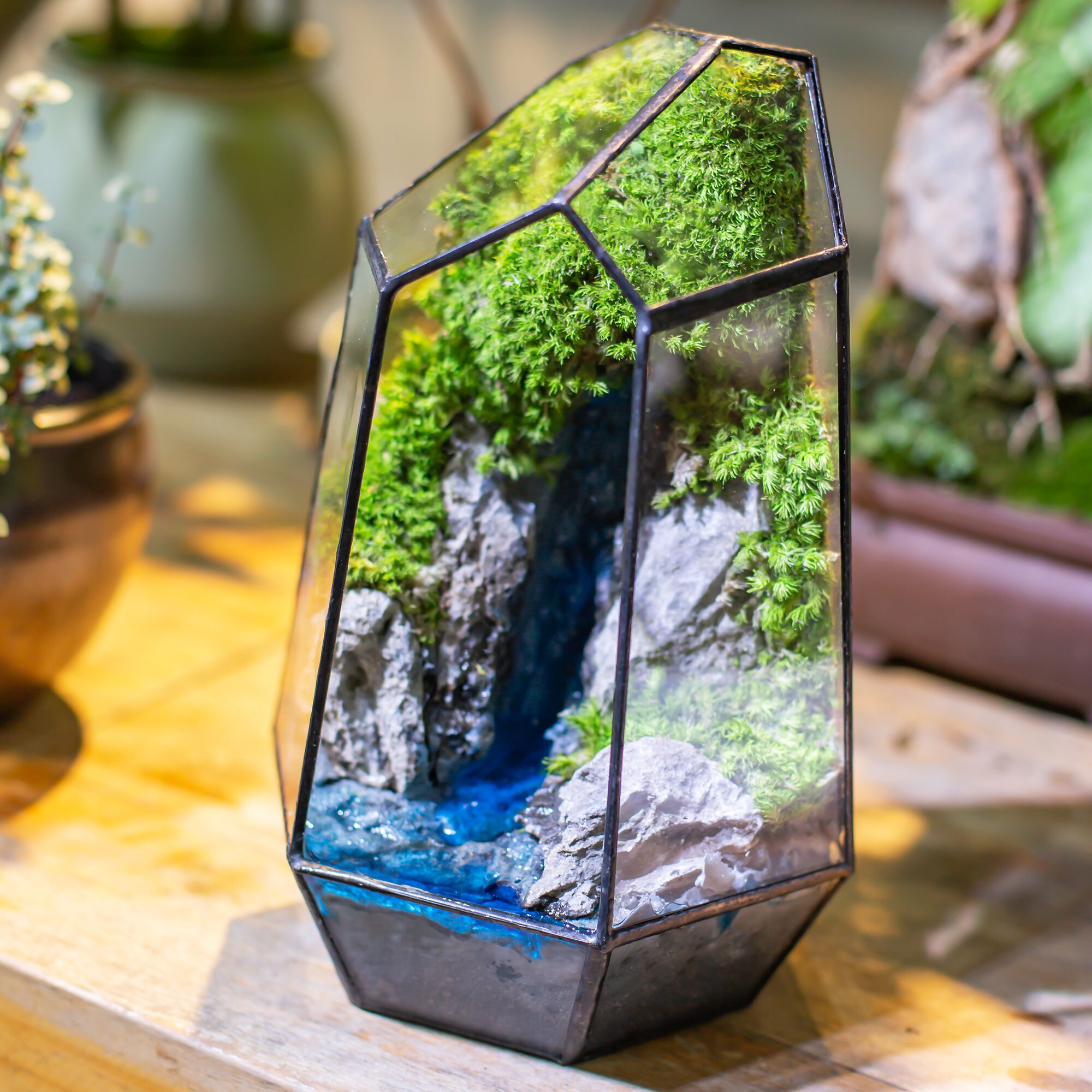 Zen Garden Home Preserved Plants, Mountain Terrarium With Preserved ...