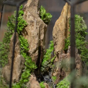 Geometric Terrarium With Mountain, Stream, Preserved Moss Mini ...