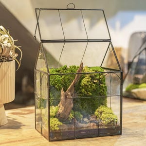 Handmade Greenhouse Glass Terrarium With Preserved Moss, Wood, Faux ...