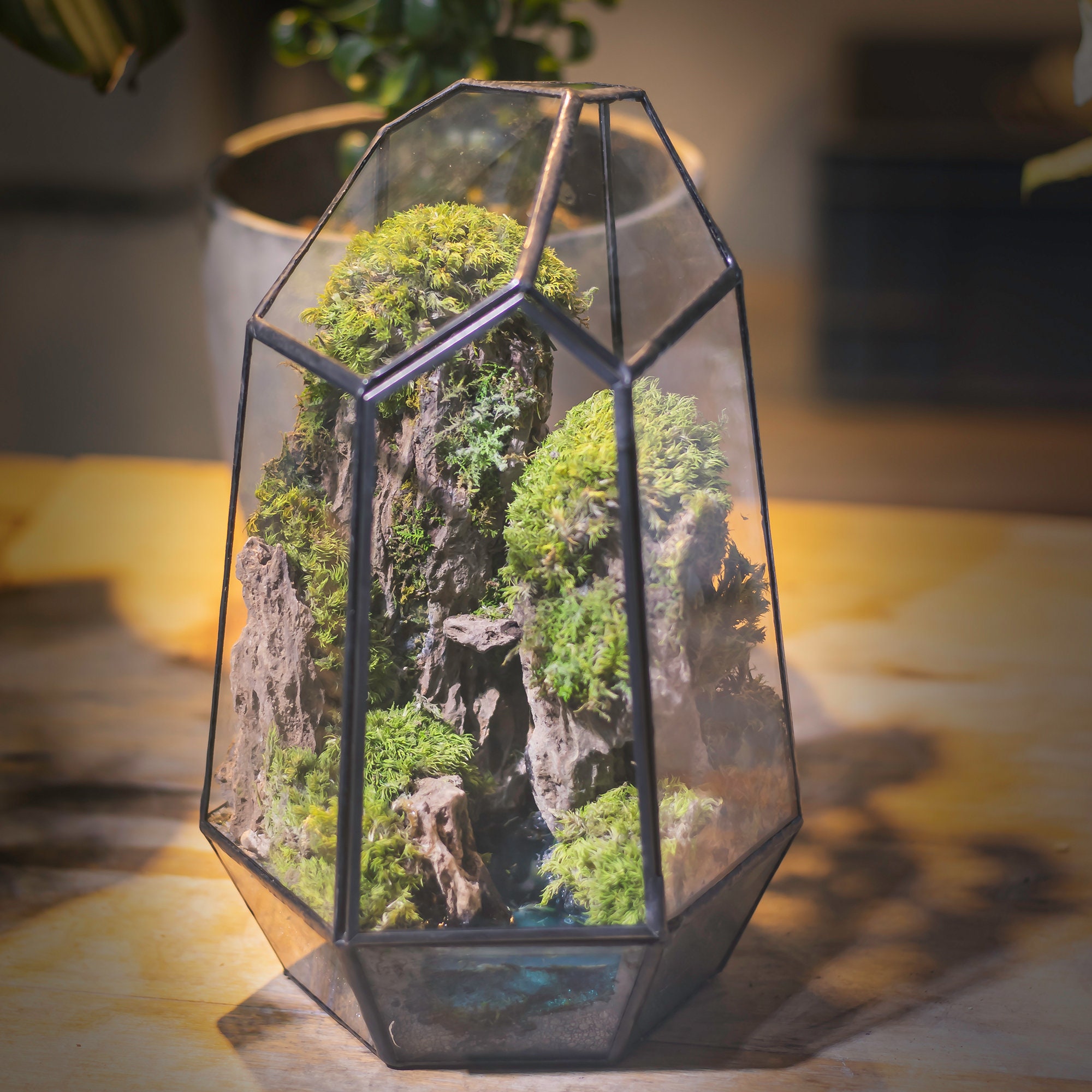 Zen Garden, Geometric Terrarium With Preserved Moss Art, Rock, Streams ...