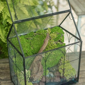 Handmade Greenhouse Glass Terrarium With Preserved Moss, Wood, Faux ...