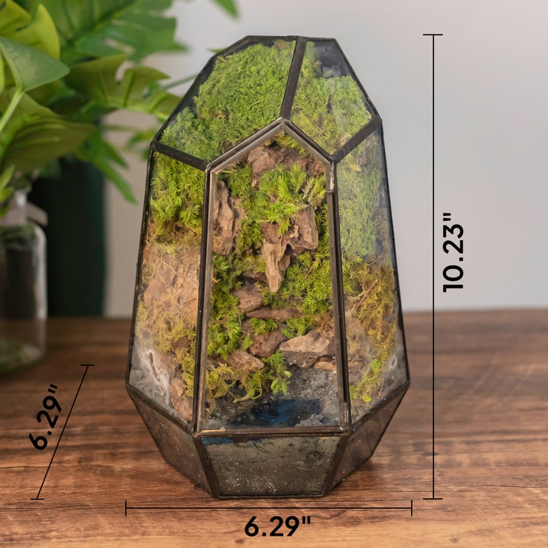 Handcrafted Miniature Ecosystem With Preserved Moss, Mountain Springs ...