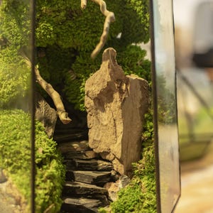 Terrarium Moss Art, Geometric Terrarium With Preserved Moss, Stone ...