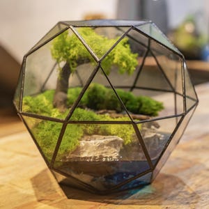 Polyhedral Spherical Terrarium With Moss Landscape - a Miniature World ...