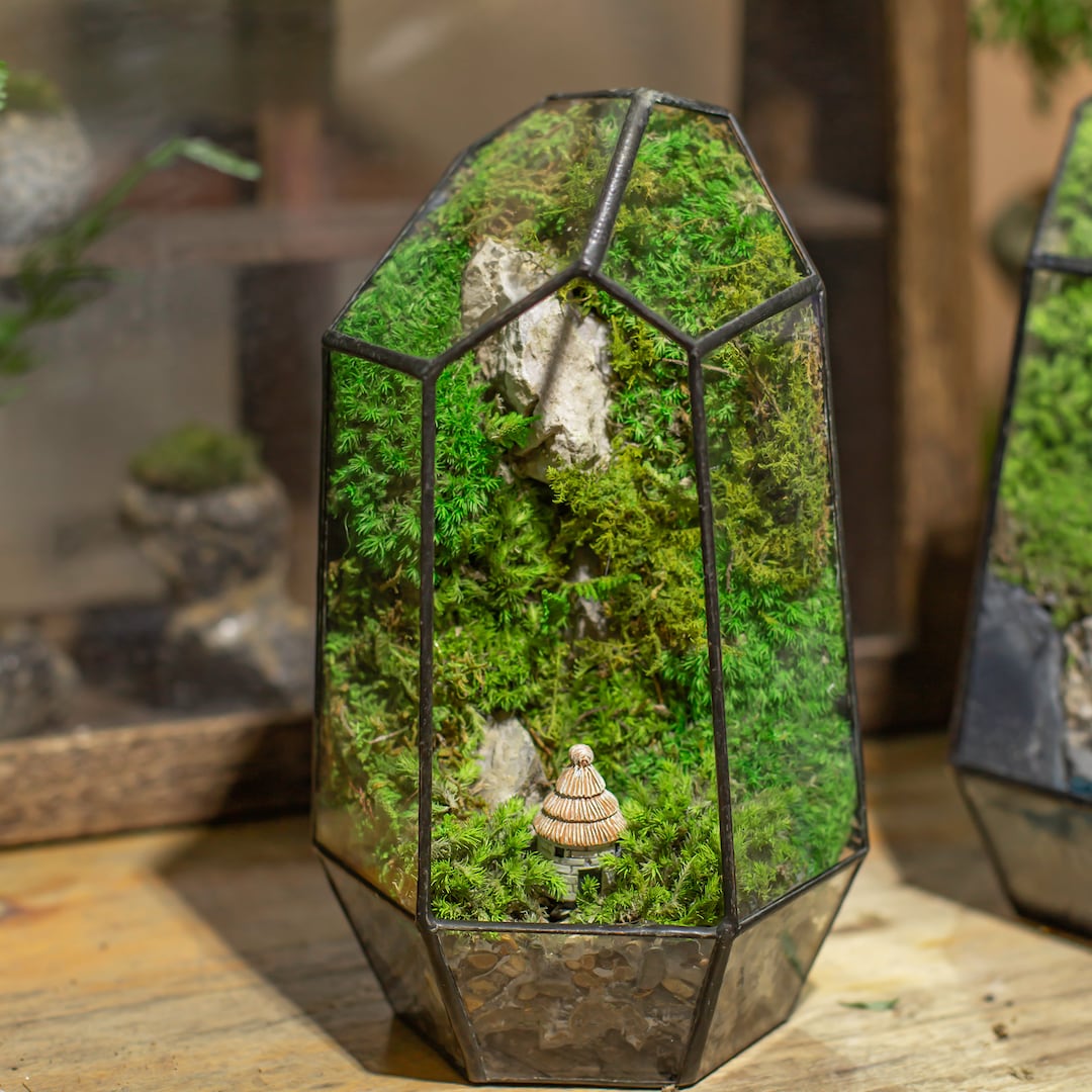 Preserved Moss Landscape, Geometric Terrarium Creative Moss Wall With ...