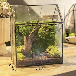 Handmade Greenhouse Glass Terrarium With Preserved Moss, Wood, Faux ...
