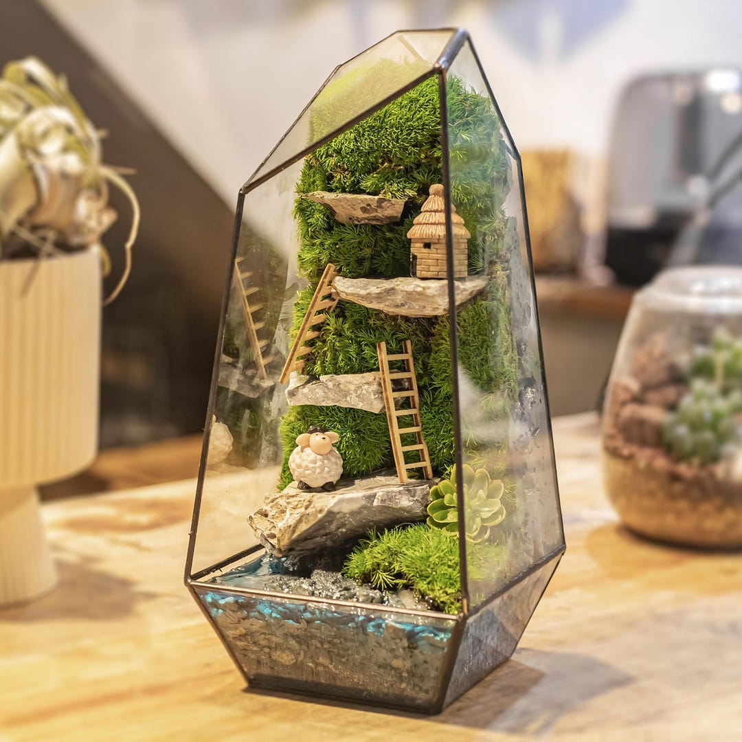 Peaceful Mountain Moss Landscaping, Preserved Moss Geometric Terrarium ...