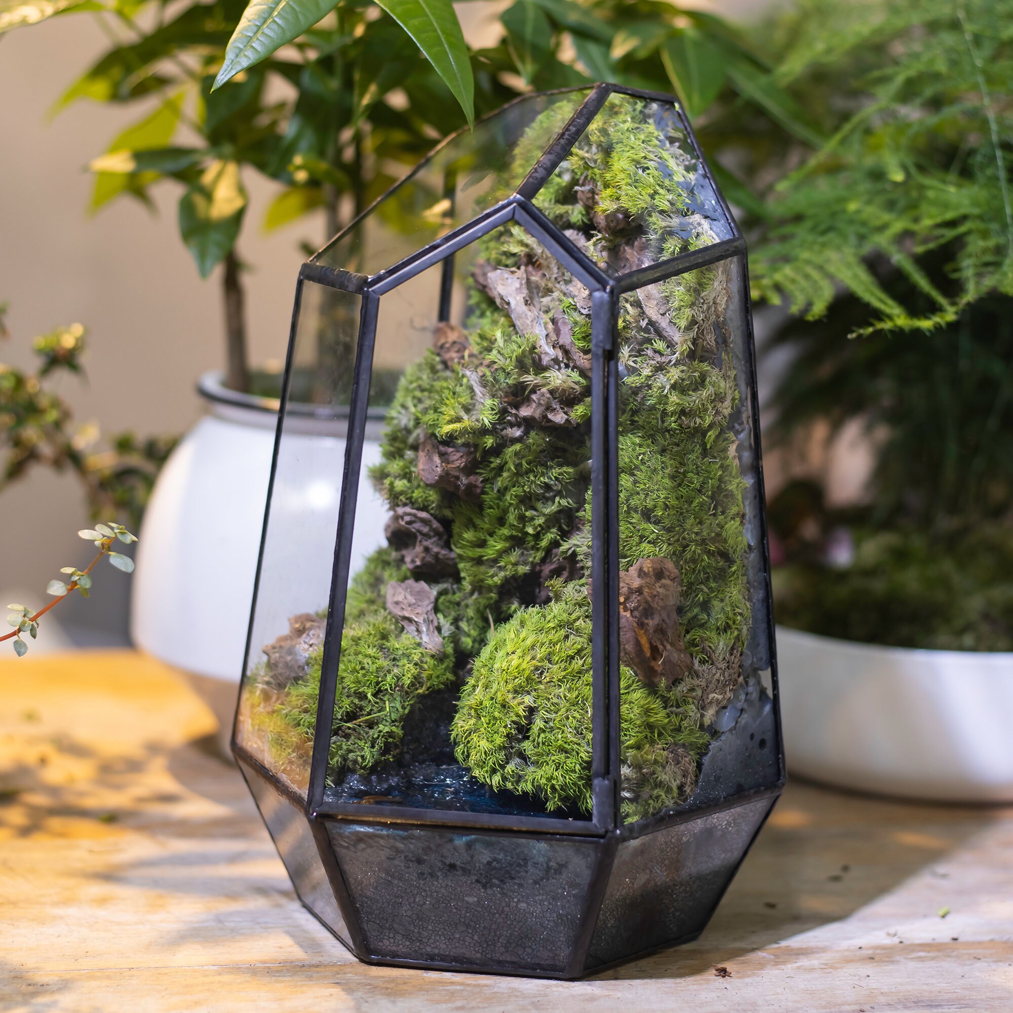 Zen Garden Miniature Ecosystem With Preserved Moss, Mountain Springs ...