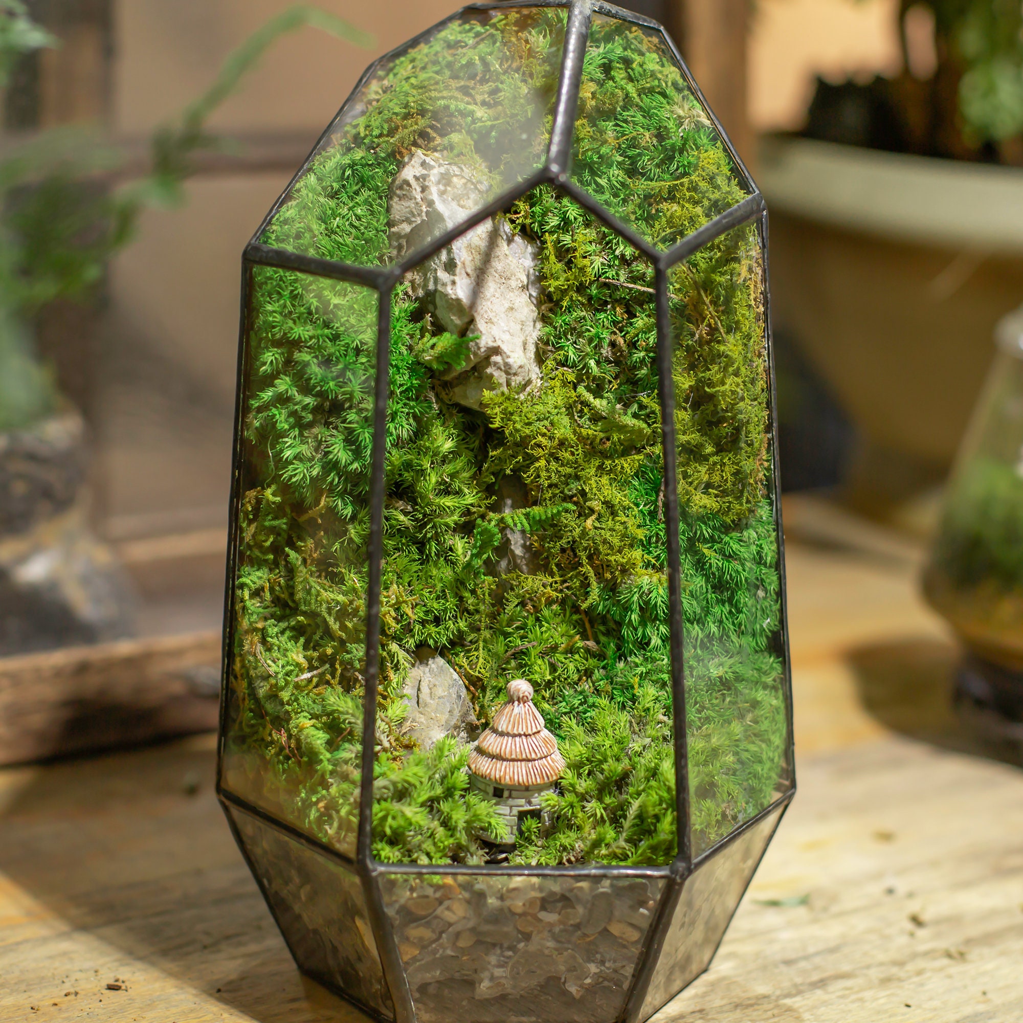 Preserved Moss Landscape, Geometric Terrarium Creative Moss Wall With ...
