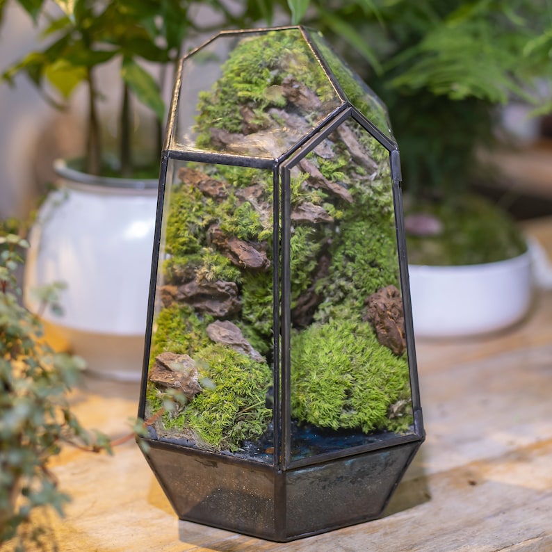 Zen Garden Miniature Ecosystem With Preserved Moss, Mountain Springs ...