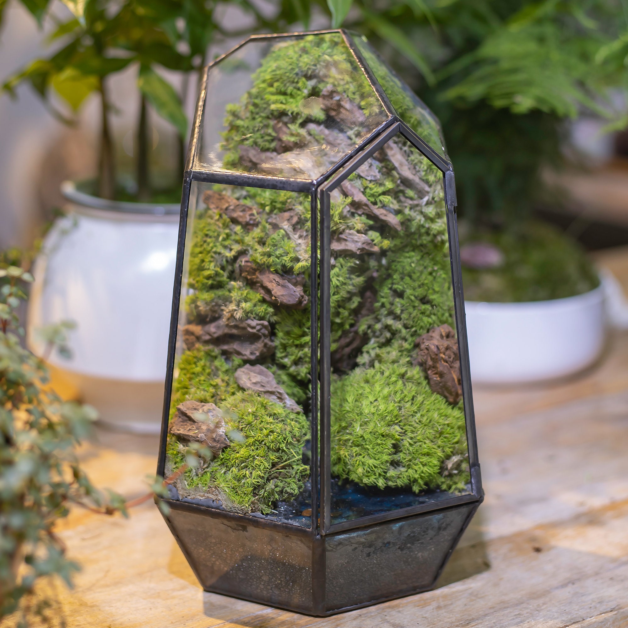 Zen Garden Miniature Ecosystem With Preserved Moss, Mountain Springs ...