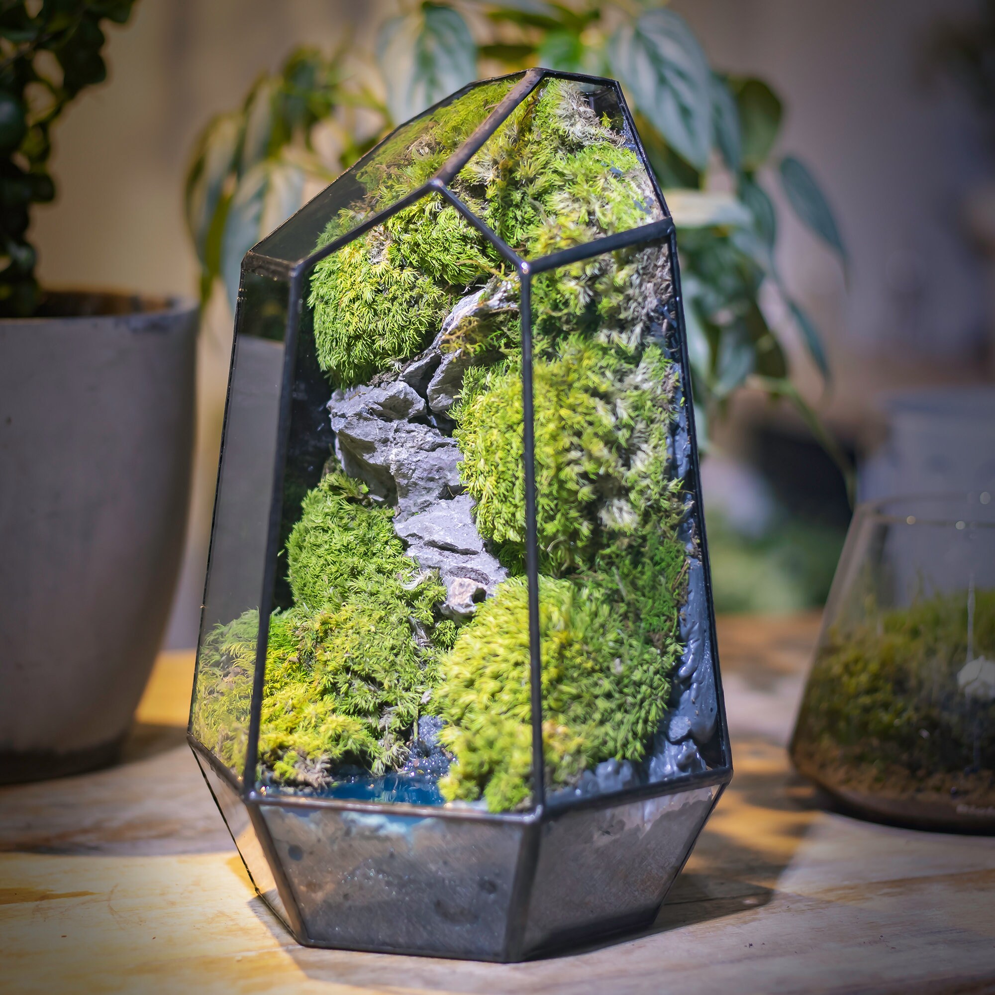 Preserved Moss Art in Geometric Terrarium, Mountain Moss Terrarium ...