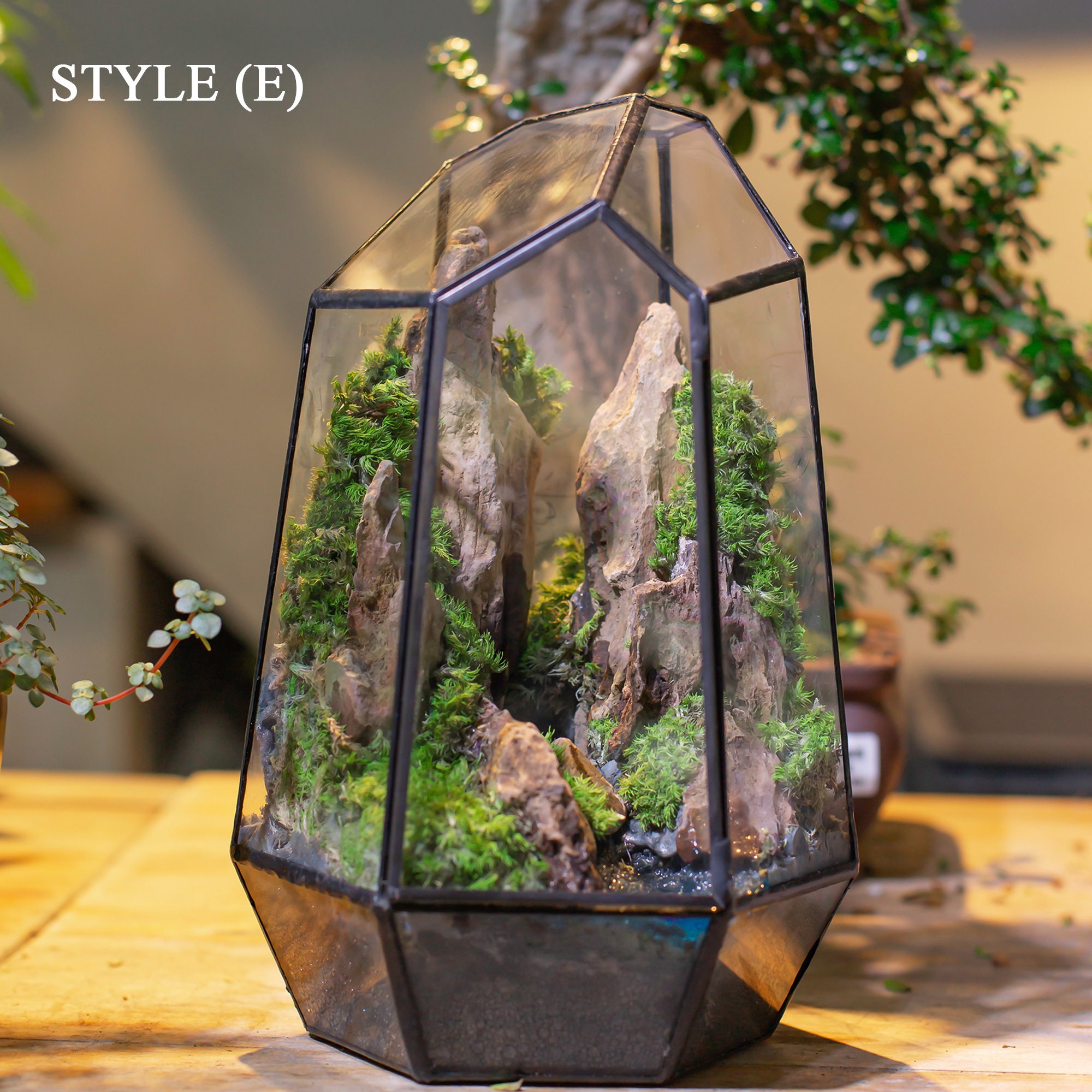 Geometric Terrarium With Mountain, Stream, Preserved Moss Mini ...