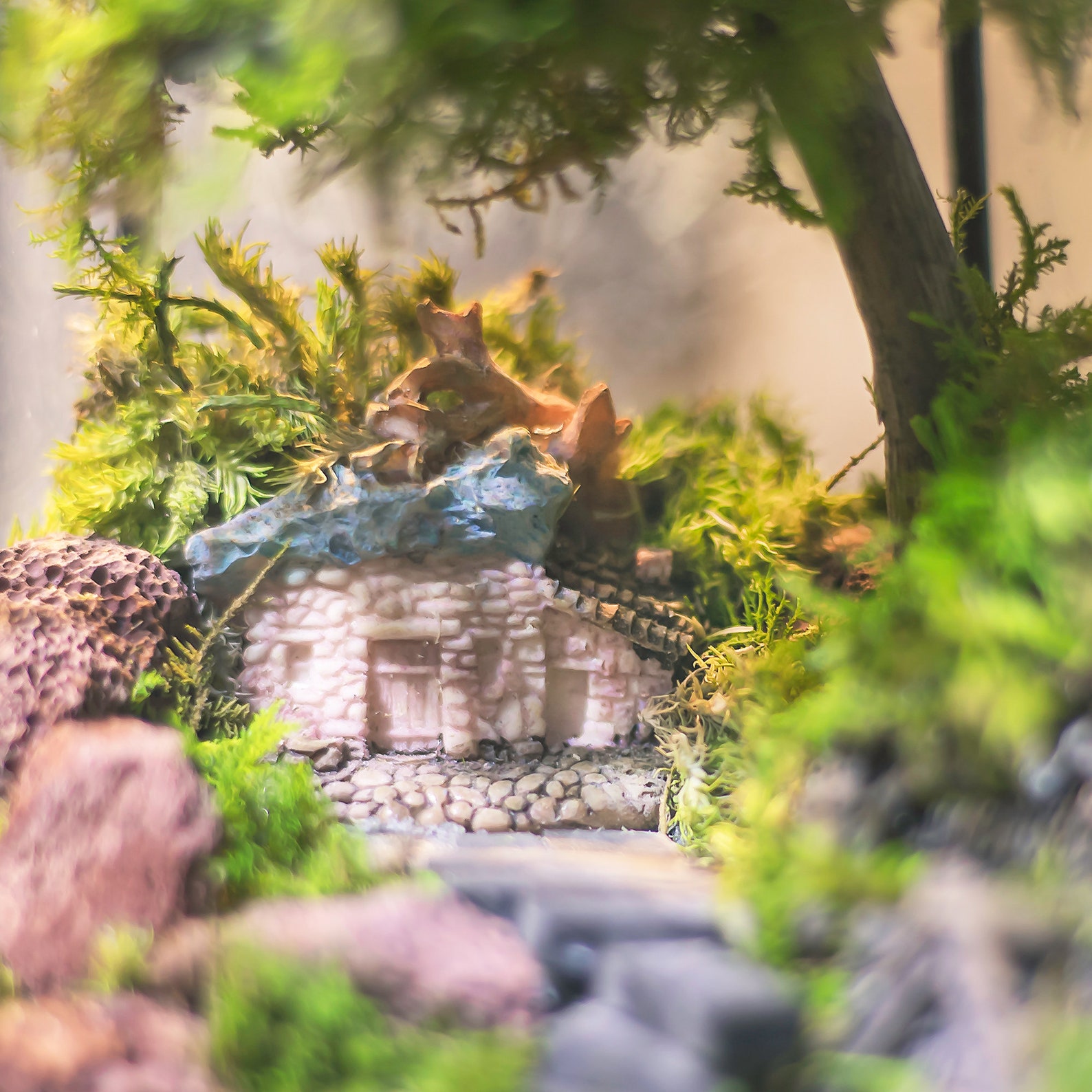 Geometric Terrarium With Cottage, Tree of Life, Stream, Preserved Moss ...