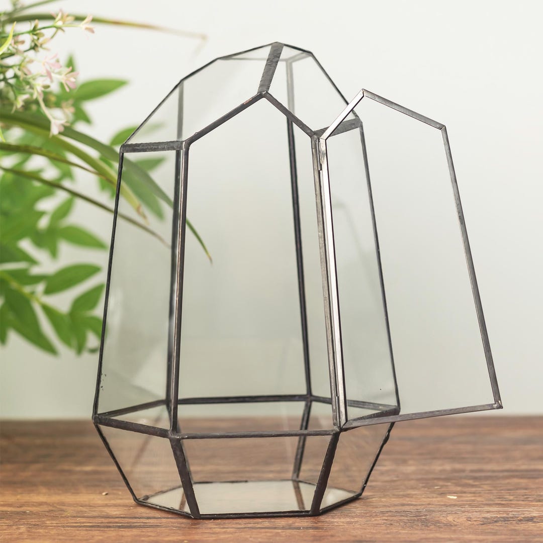 Geometric Terrarium, Geometric Glass Containers for Plants, Succulents ...