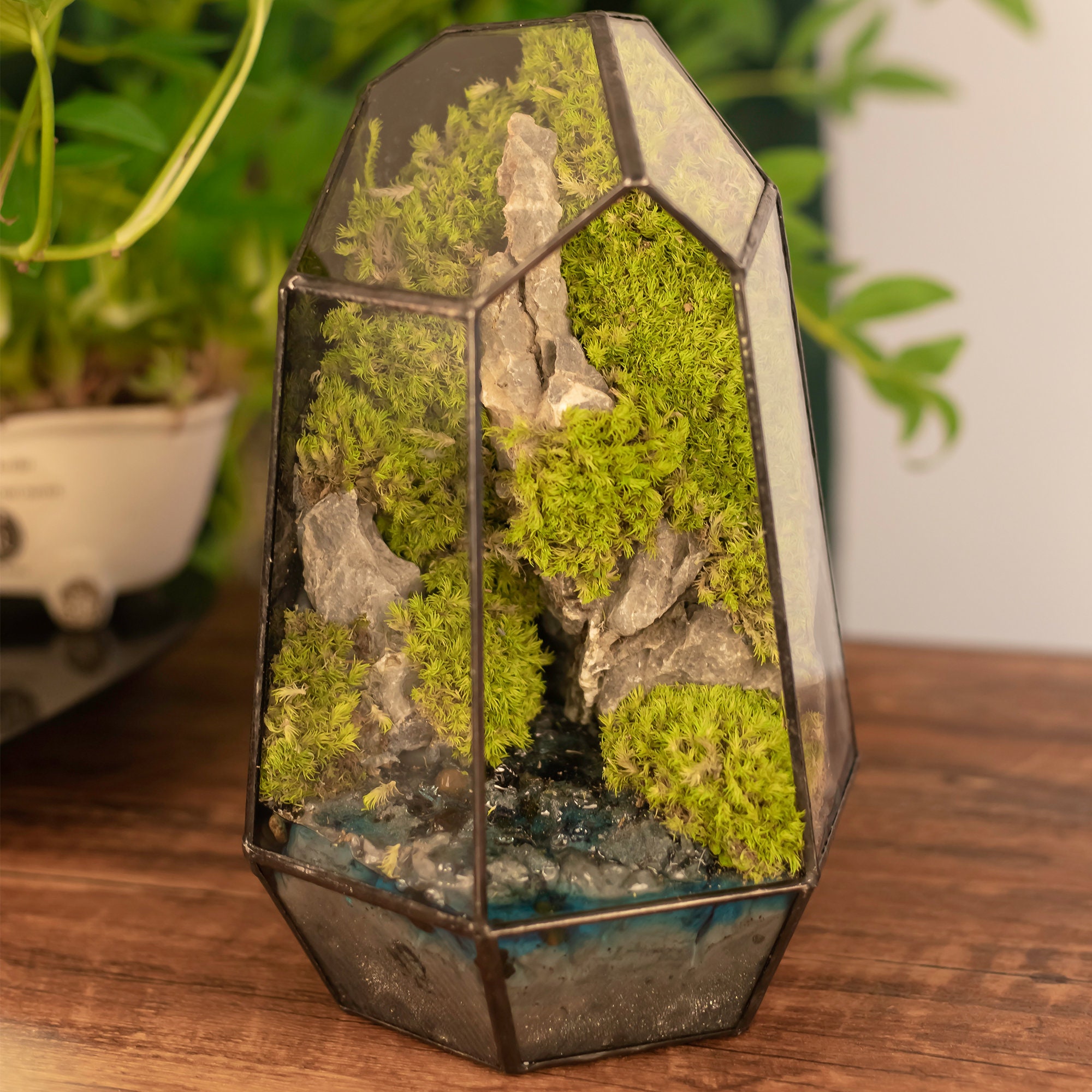 Preserved Moss Terrarium Landscape With Mountain Springs, Rainforest ...