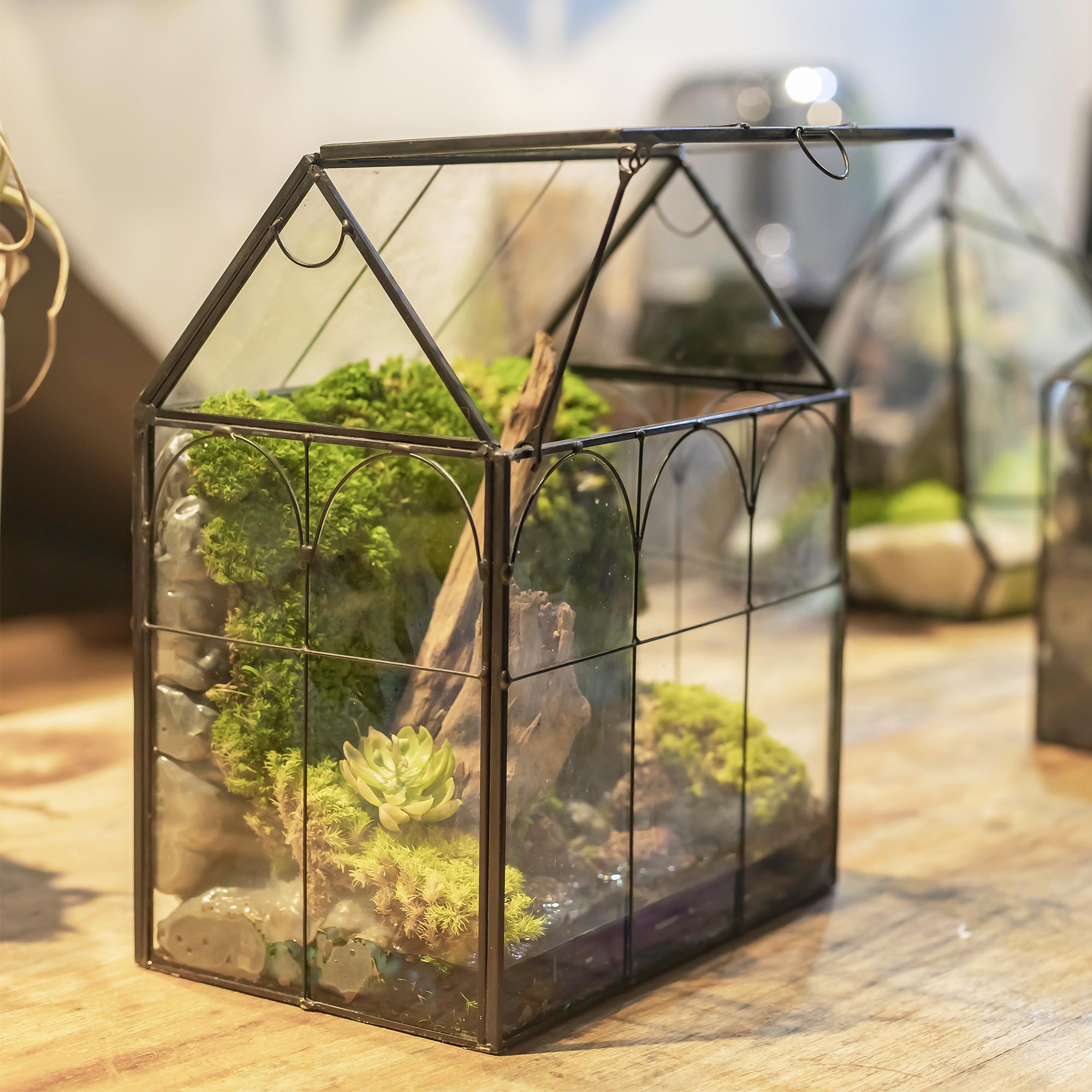 Handmade Greenhouse Glass Terrarium With Preserved Moss, Wood, Faux ...