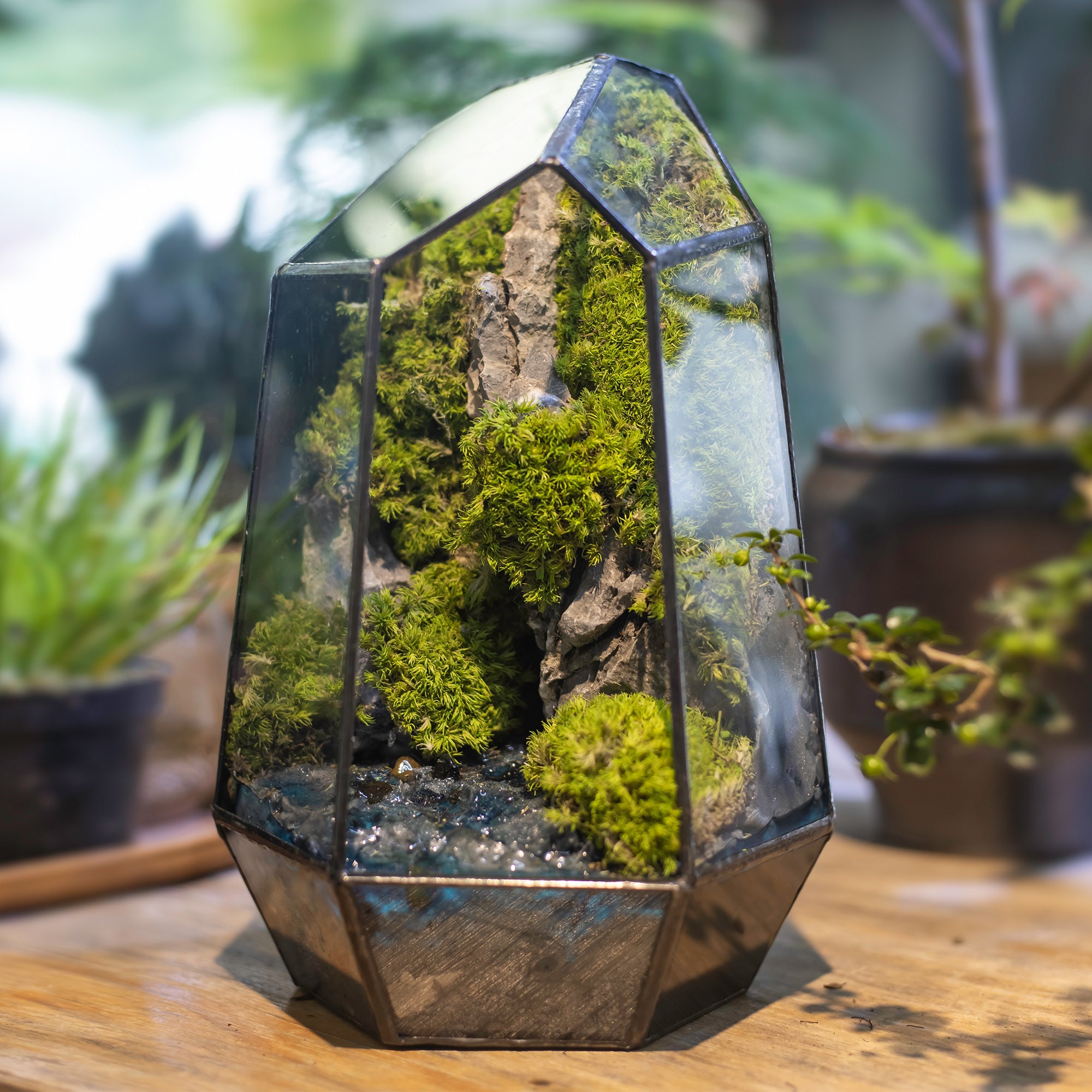 Preserved Moss Terrarium Landscape With Mountain Springs, Rainforest ...