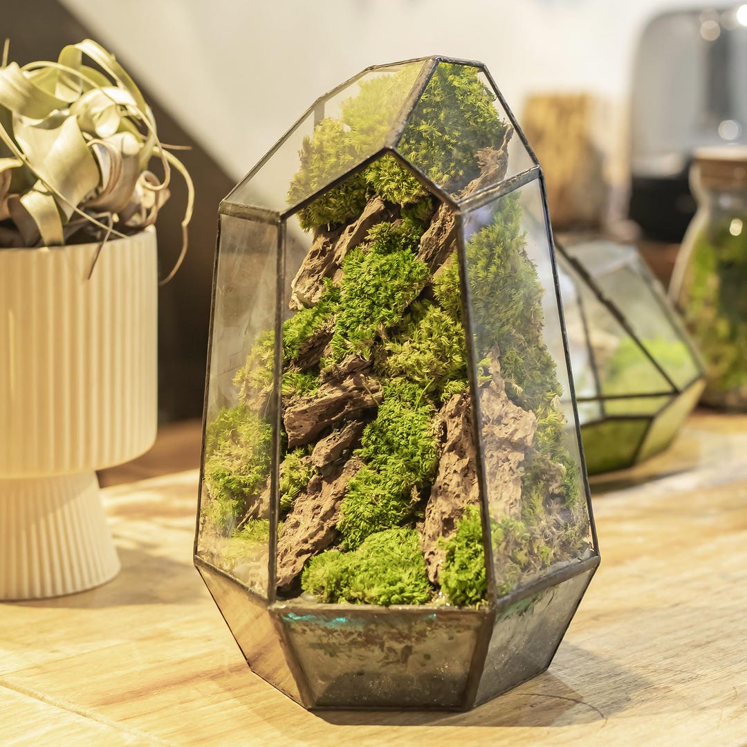 Geometric Glass Terrarium With Mountain Moss Landscape, Preserved Moss ...