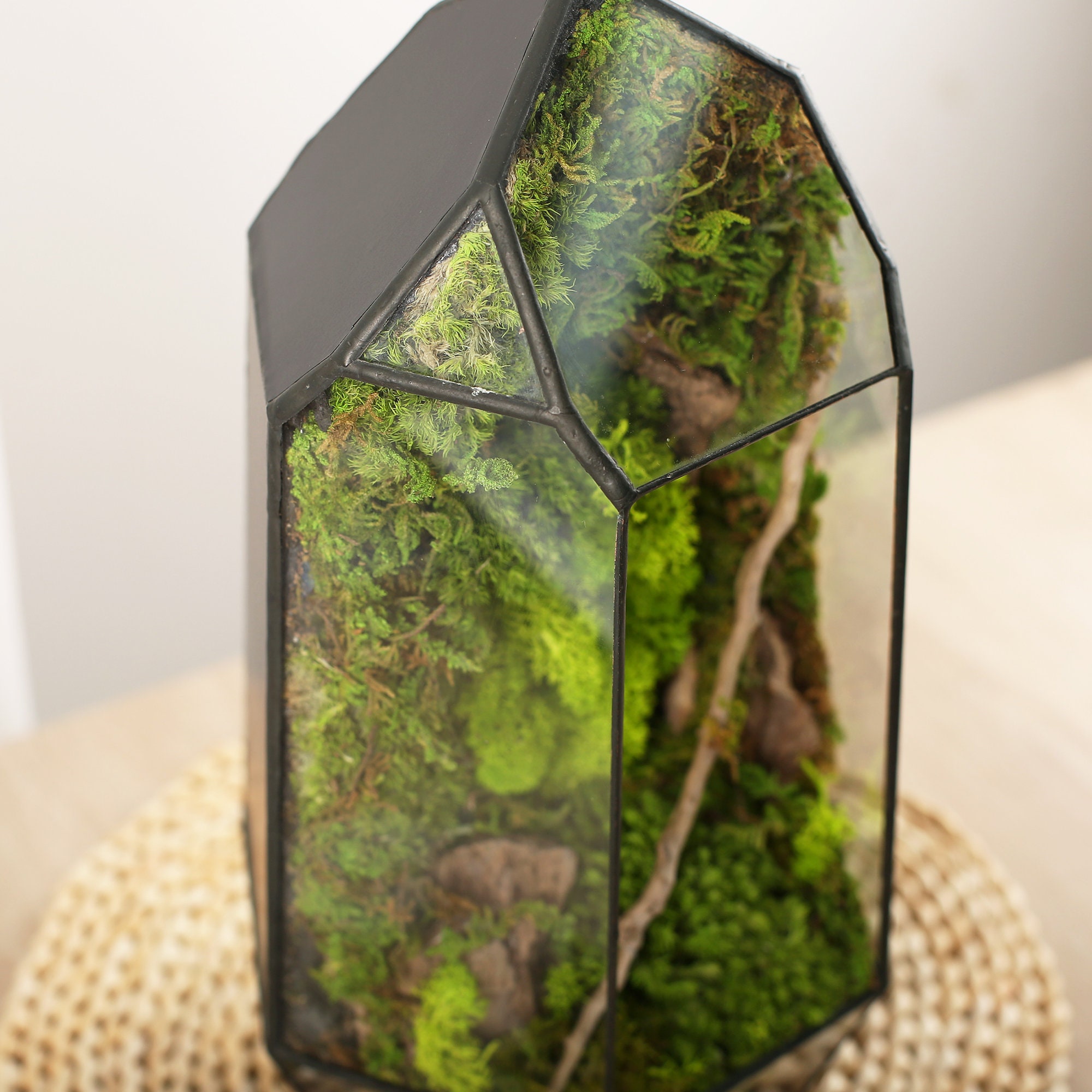 Terrarium Preserved Moss, Geometric Terrarium Moss Wall, Mossy and Tree ...