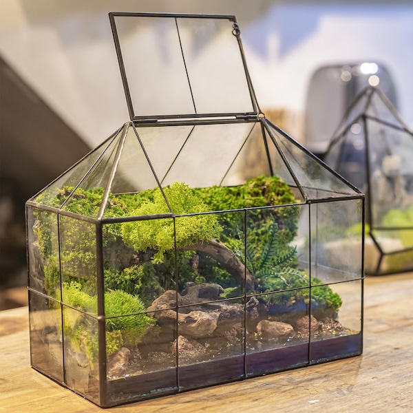 Desktop Terrarium - Etsy