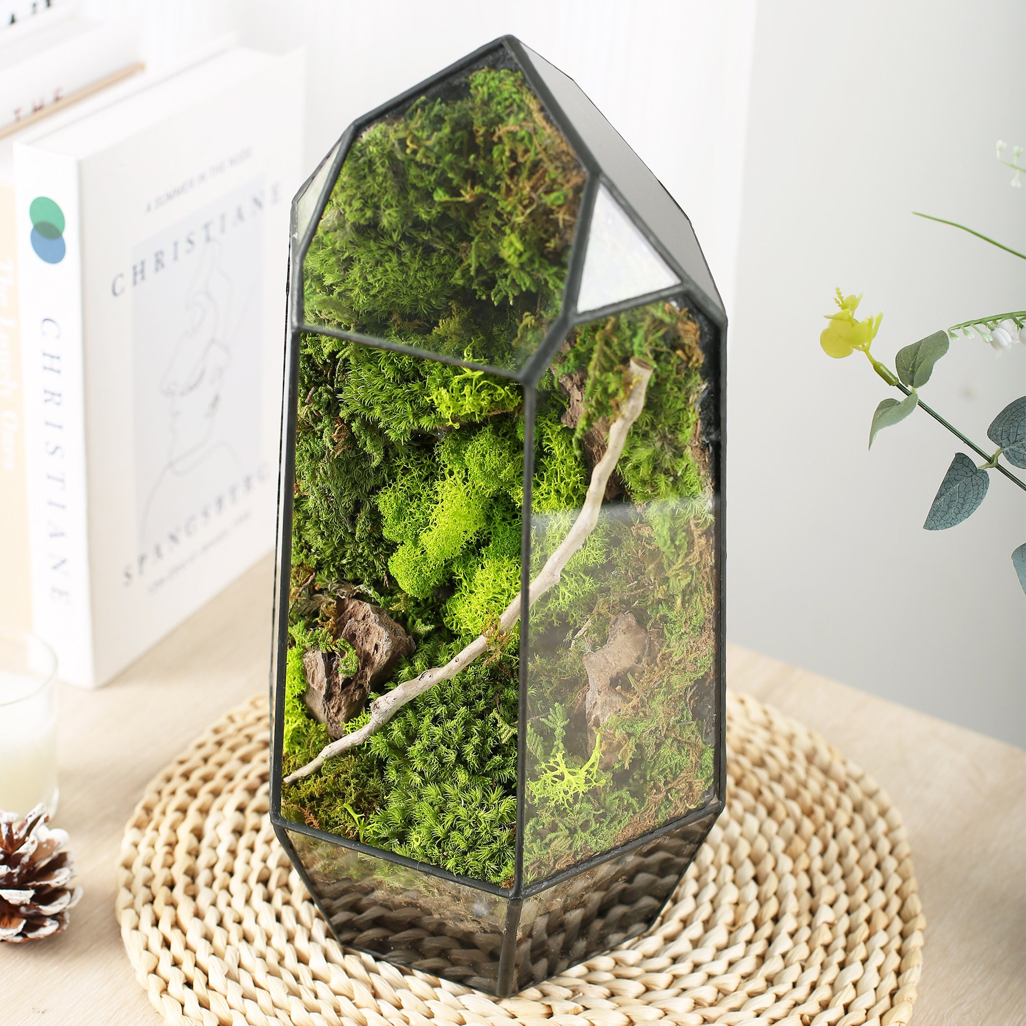 Terrarium Preserved Moss, Geometric Terrarium Moss Wall, Mossy and Tree ...