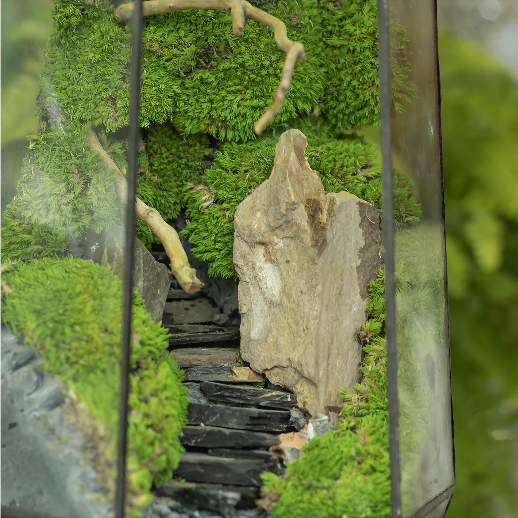 Terrarium Moss Art, Geometric Terrarium With Preserved Moss, Stone ...