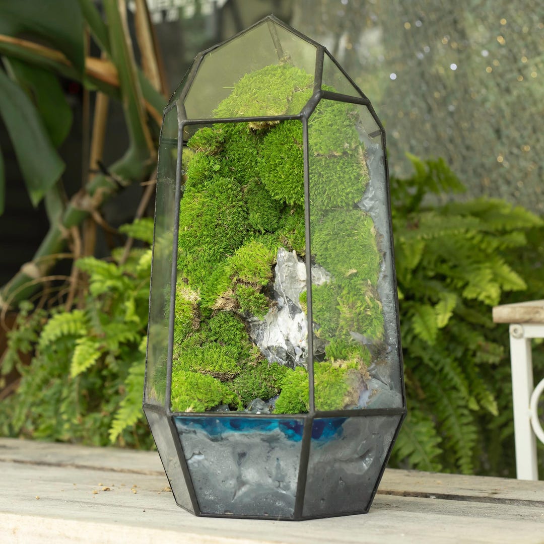 Large Glass Terrarium With Preserved Moss Wall, Geometric Terrarium ...