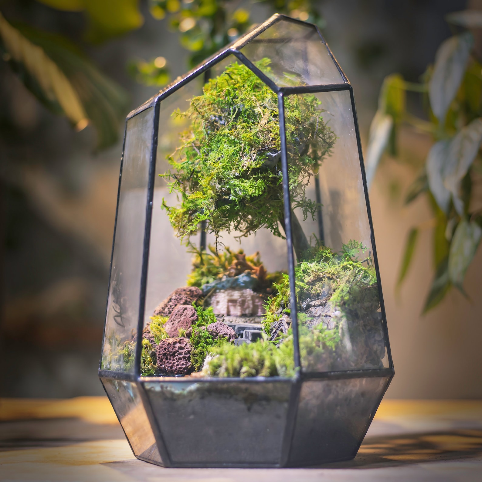 Geometric Terrarium With Cottage, Tree of Life, Stream, Preserved Moss ...
