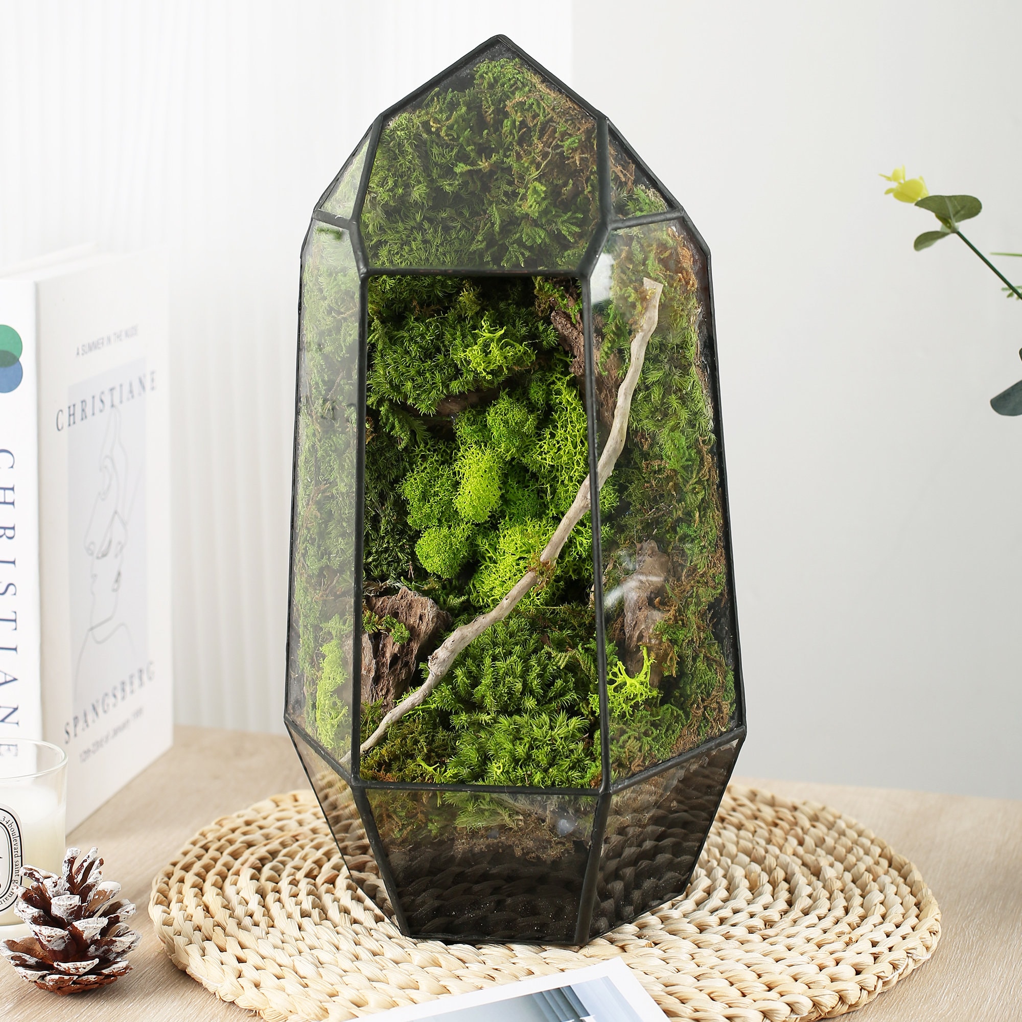 Terrarium Preserved Moss, Geometric Terrarium Moss Wall, Mossy and Tree ...