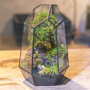 Geometric Terrarium With Cottage, Tree of Life, Stream, Preserved Moss ...