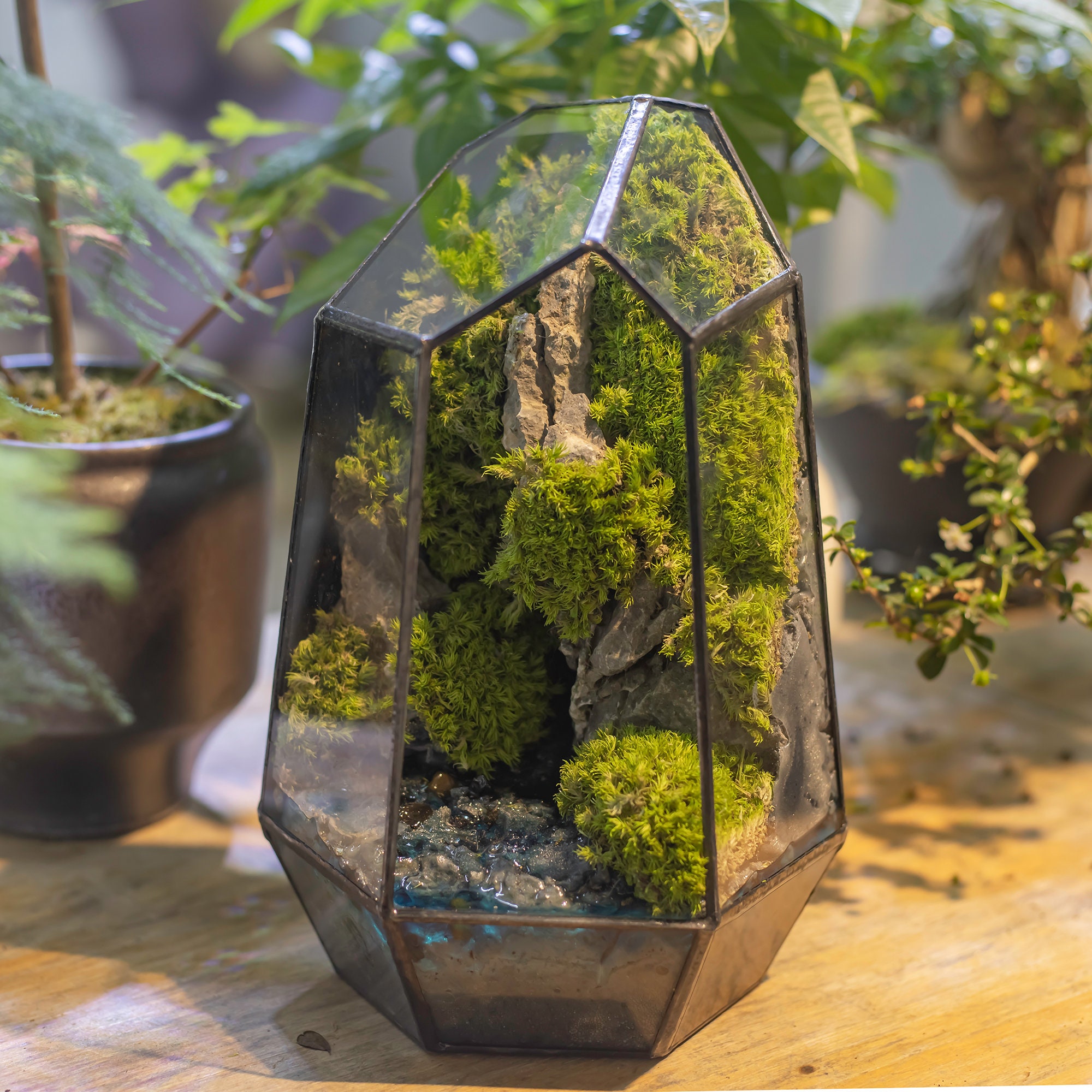 Preserved Moss Terrarium Landscape With Mountain Springs, Rainforest ...