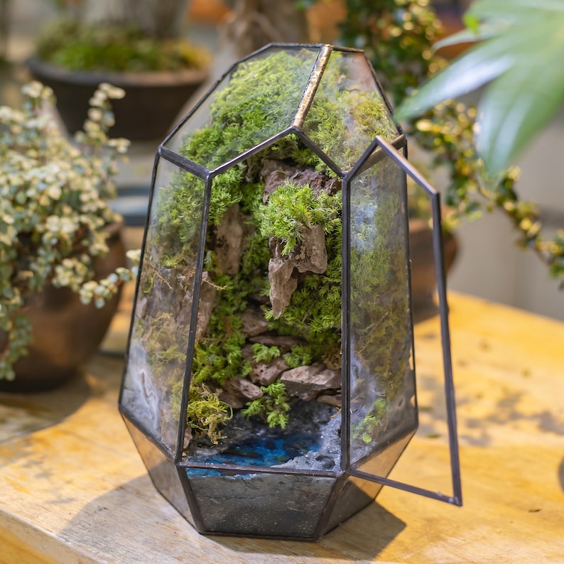 Zen Garden Miniature Ecosystem With Preserved Moss, Mountain Springs ...
