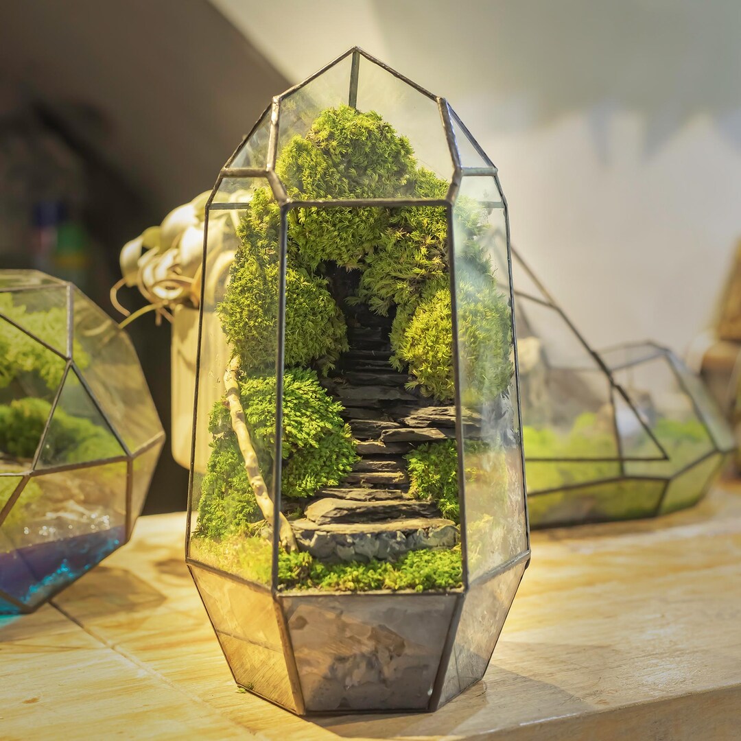 Geometric Terrarium With Preserved Moss and Stone Staircase, Moss Wall ...
