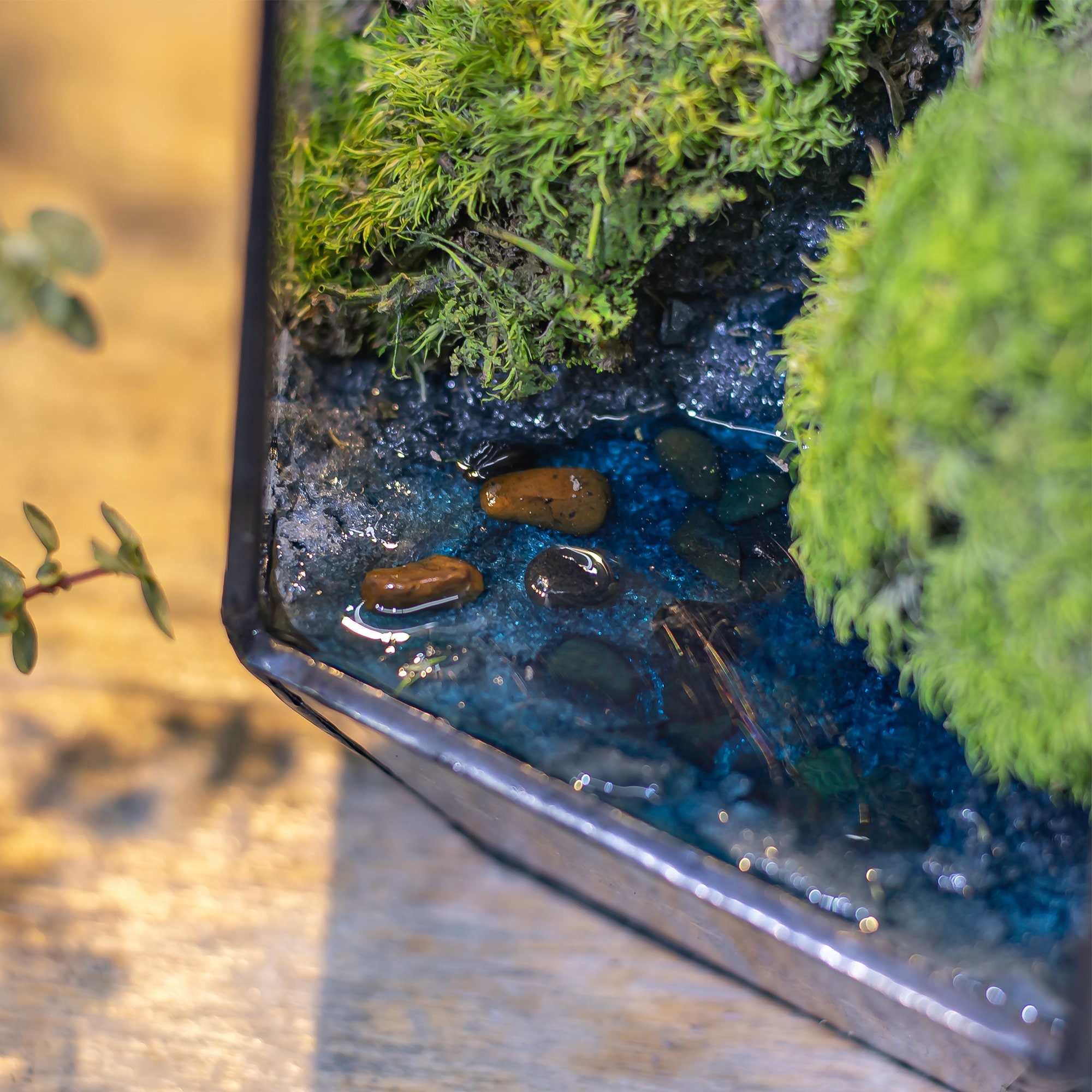 Zen Garden Miniature Ecosystem With Preserved Moss, Mountain Springs ...