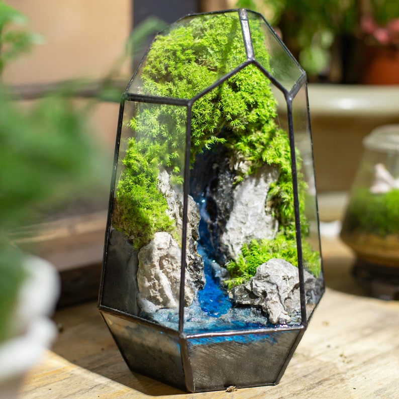 Zen Garden Home Preserved Plants, Mountain Terrarium With Preserved ...