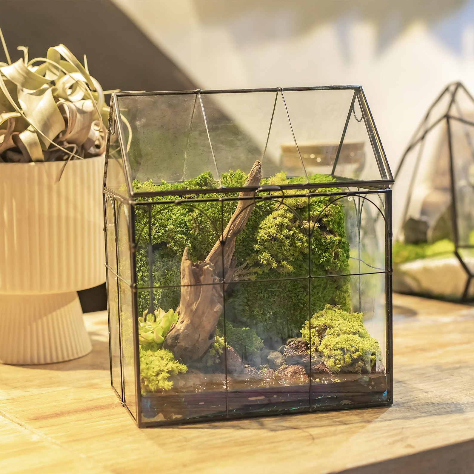 Handmade Greenhouse Glass Terrarium With Preserved Moss, Wood, Faux ...