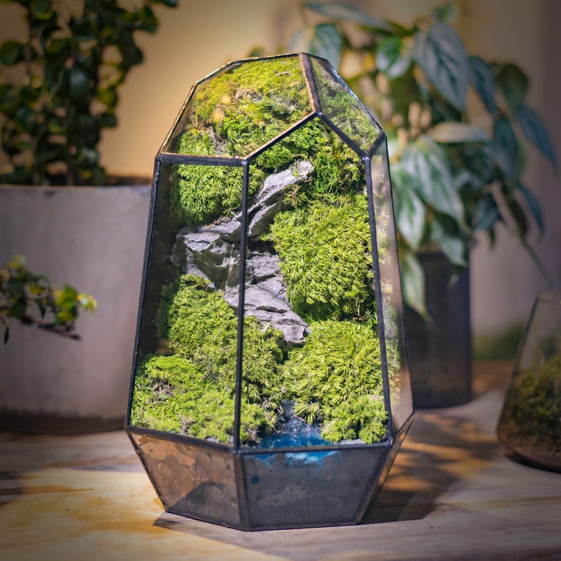 Preserved Moss Art in Geometric Terrarium, Mountain Moss Terrarium ...